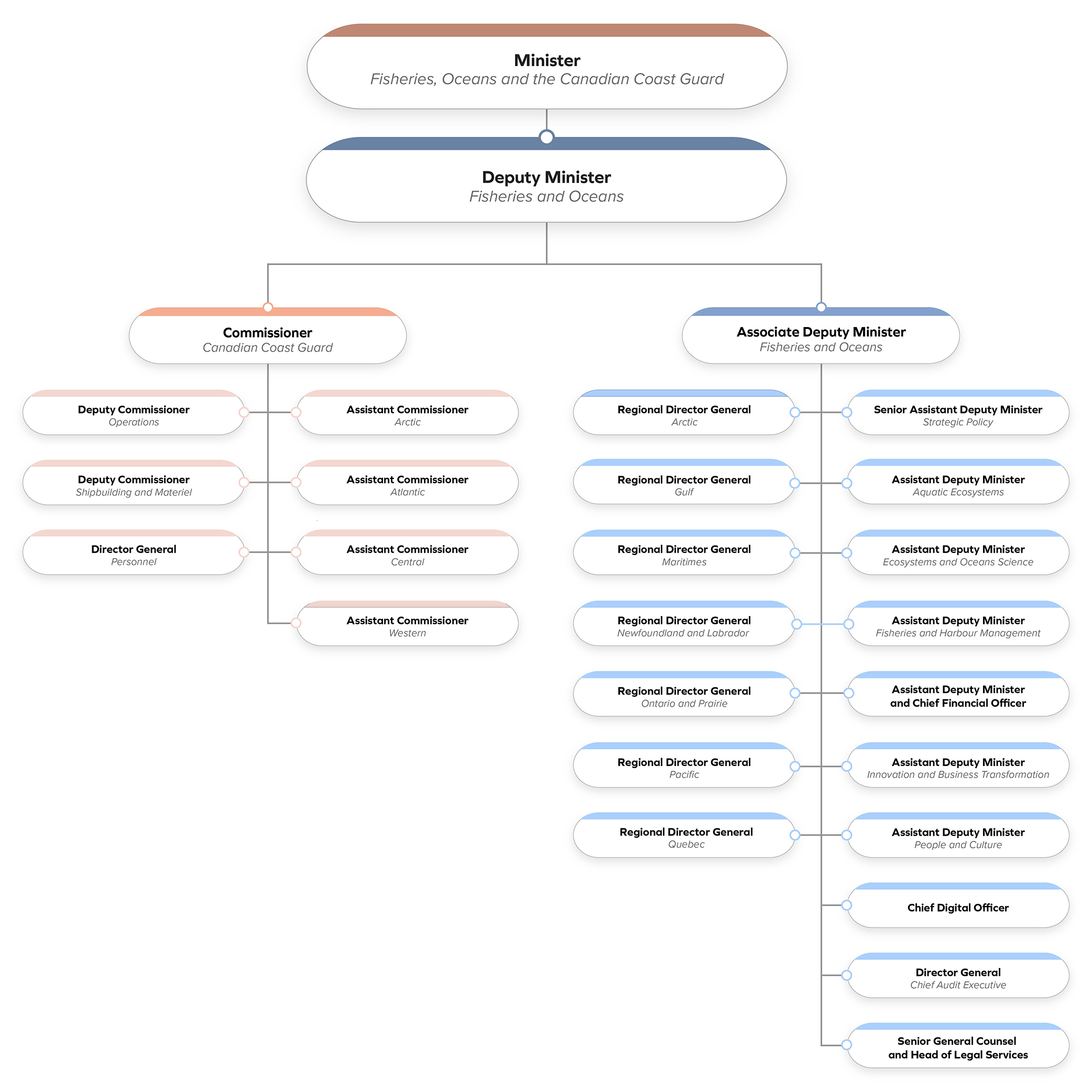 California Government Organization Chart